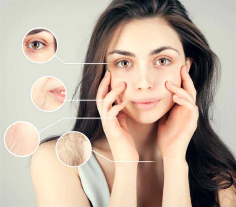 Anti wrinkle Study – Centre For Cruelty free Testing