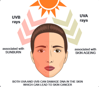 Sunscreen Testing – Centre For Cruelty free Testing